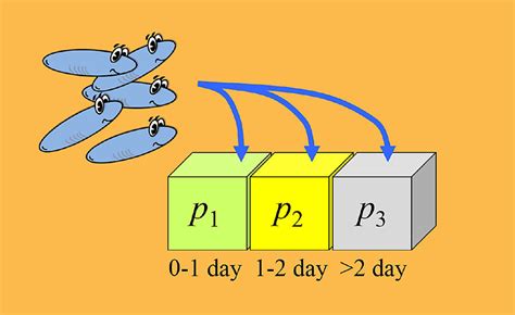 Tktd Modelling For Dummies Oekotoxzentrum