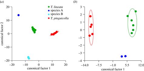 Discriminant Functional Analyses Of A Males And B Females Of The
