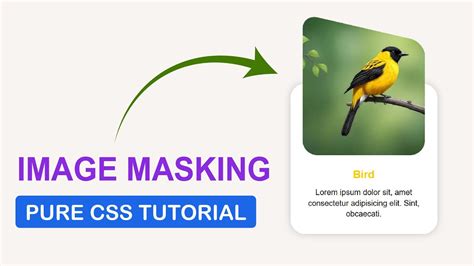 Create Amazing Image Masks With Html And Css Youtube