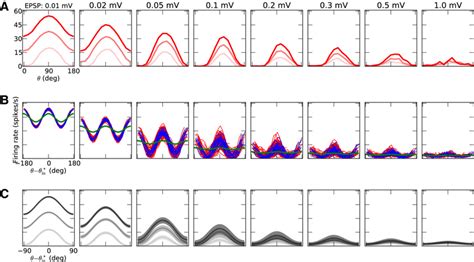 Neuronal Tuning Curves In Weakly Left And Strongly Right Recurrent