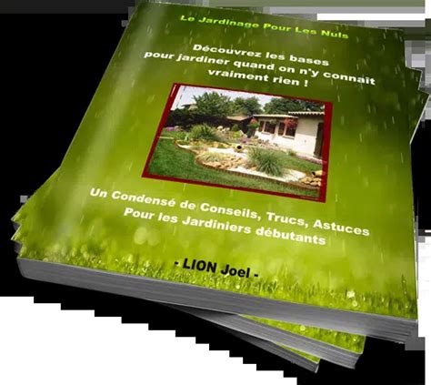 Plante Langue De Belle Mère Découvrez Les Bienfaits Sur La Santé Et