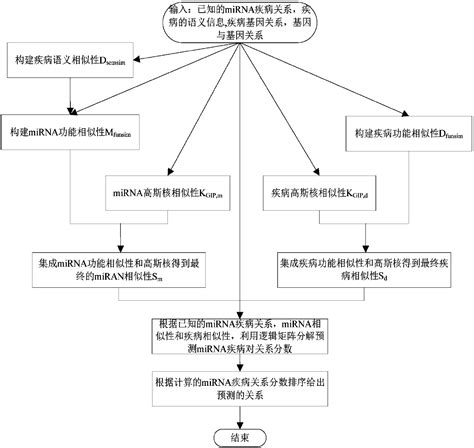 MiRNA Disease Association Relation Prediction Method Based On