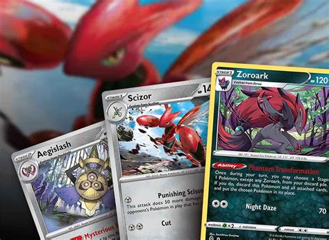Raihan Crown Zenith Pokemon