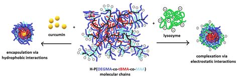 Hyperbranched Polyelectrolyte Copolymers As Novel Candidate Delivery Systems For Bio Relevant