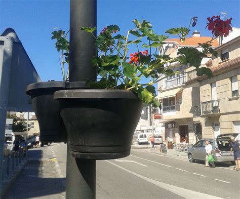 Flores En Farolas Para Criticar El Estado De Raxó