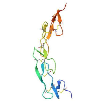 Rcsb Pdb 7kx0 Crystal Structure Of The Cd27 Cd70 Co Stimulatory Complex