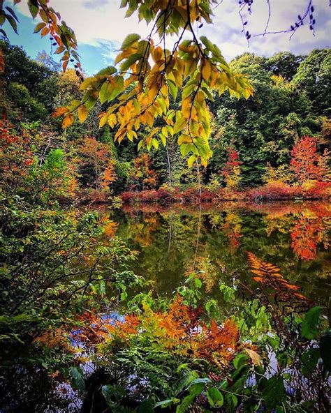 Katelynn Spacher Kspacher Twitter