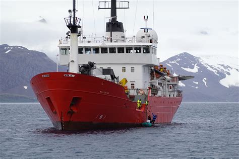 South Georgia Wandering Albatross Survey Iii — Vinson Of Antarctica
