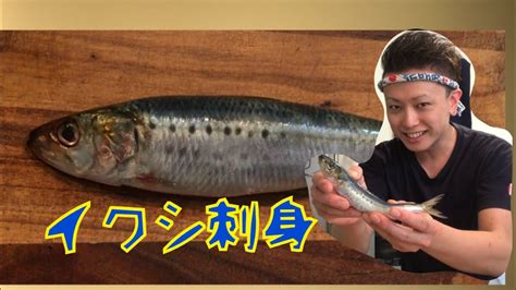 いわしの手開き Youtube
