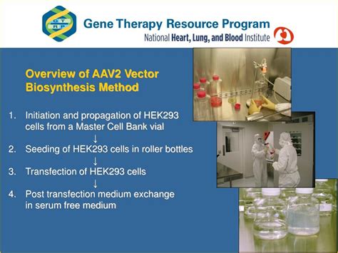 Ppt Adeno Associated Virus Vectors To Support Clinical Studies J