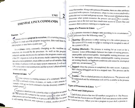 linux module 2 linux commands proceses essential linux commands