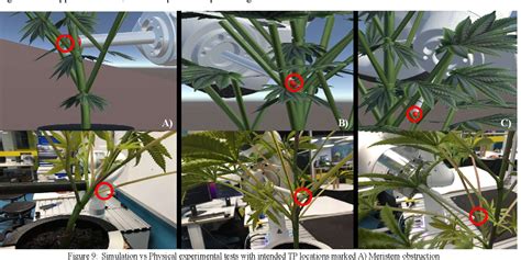 Figure 9 From Robotic Crop Handling In Cluttered And Unstructured Environments Using Simulated L