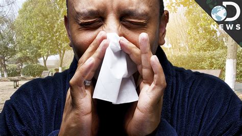 Why Do We Sneeze Youtube