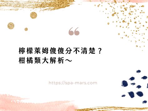 檸檬萊姆傻傻分不清楚？柑橘類大解析～ 火星誠靈實驗室：修復你的身心靈