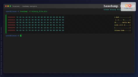 unzip Command Linux: Complete Guide to Extract ZIP Archives Efficiently ...
