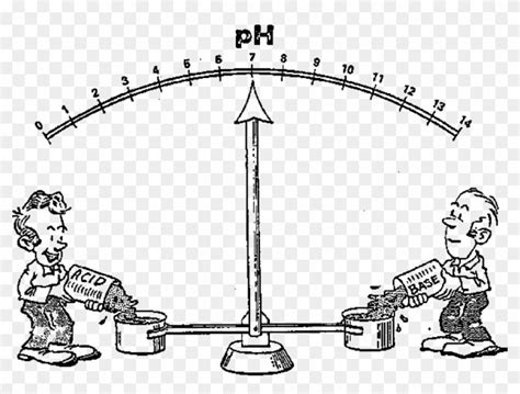 Acid And Base Png Acid Base Equilibrium Concept Transparent Png 900x640 1451522 PngFind