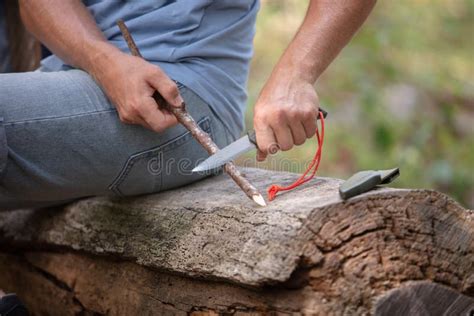 Adult Male Removing Bark From Branch With Sharp Knife Stock Photo Image Of Stick Hold