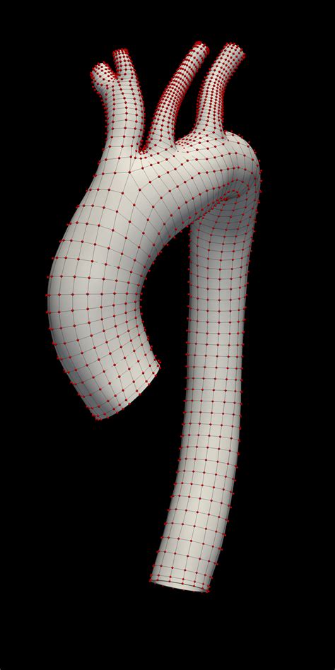 Patient Specific Aorta Geometry Mesh Made Of Cubic And Quartic