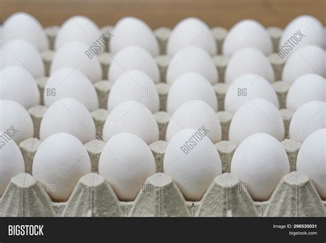 White Chicken Eggs Image And Photo Free Trial Bigstock