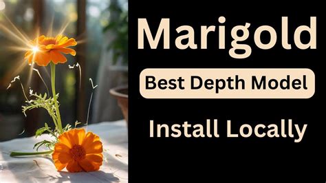 Marigold Best Depth Model Install Locally Youtube