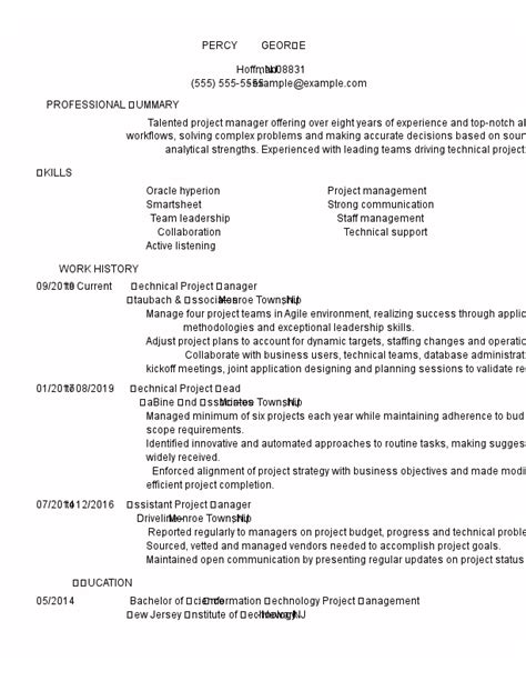 Technical Project Manager Resume