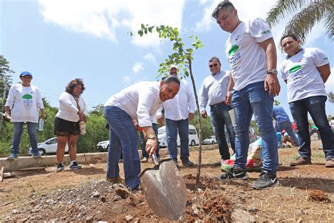 Se Realizan Acciones En Favor Del Medio Ambiente En Playa Del Carmen Almomento Mx