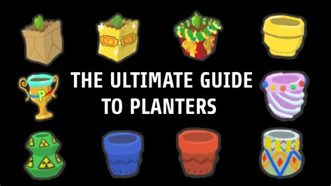 Bee Swarm Planters Enzymes At Bailey Carruthers Blog