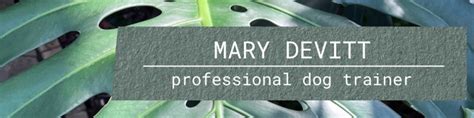 Mary Devitt Dog Trainer Mannered Mutts Training Linkedin