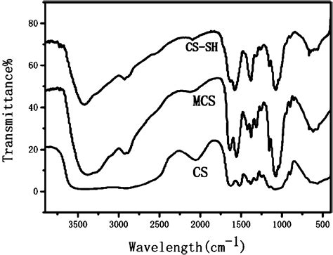 Chitosan Hydrogel And Preparation Method And Application Thereof