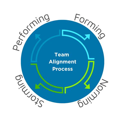 Team Alignment Process Entegrys
