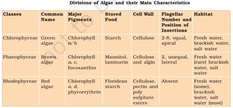 Plant Kingdom Thallophytes Algae Bryophytes Pteridophytes
