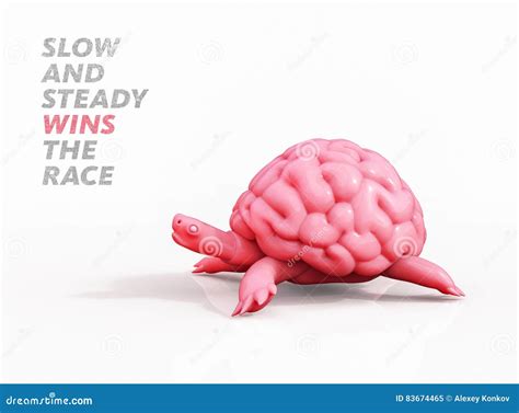 Slow And Steady Wins The Race Turtle Brain 3d Illustration Stock