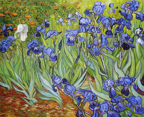 Irises By Vincent Van Gogh