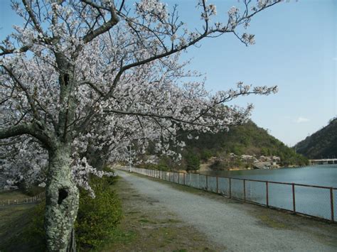 金仙寺湖 西宮山口