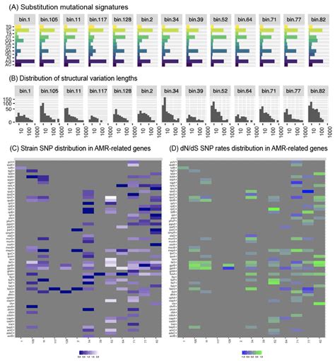 Intra Species Small And Structural Variation Provide Evolutionary