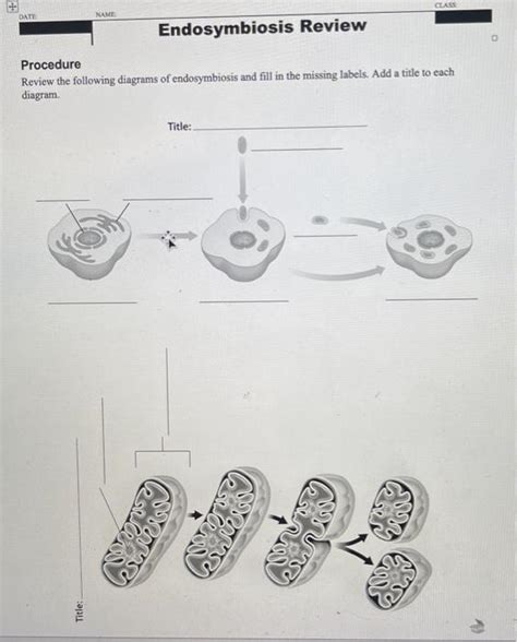 [solved] procedure review the following diagrams of endosy