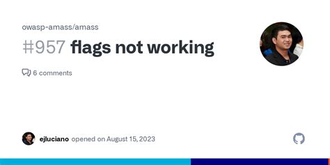 Flags Not Working Issue Owasp Amass Amass Github