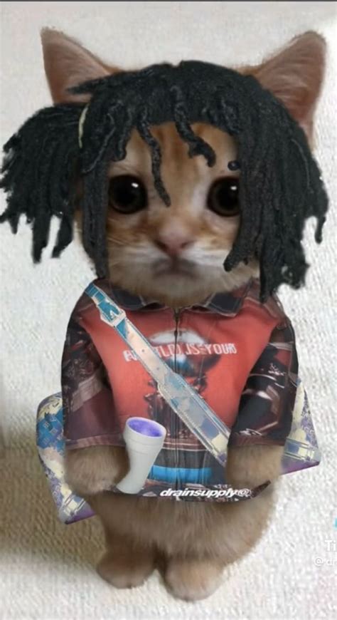 Cat Lucki Lucki Rapper Wallpaper Hello Kitty Cartoon Kitty