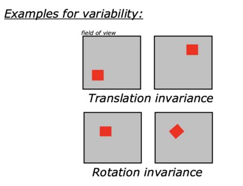 L3 Object Recognition Flashcards Quizlet