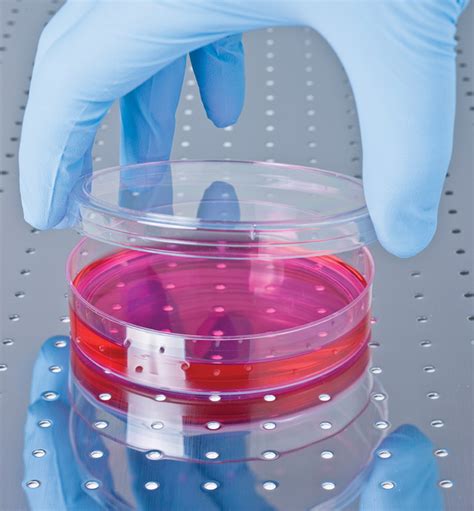 Tissue Engineering Bioreactor
