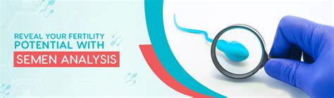 Understanding Semen Analysis The Key To Mens Health