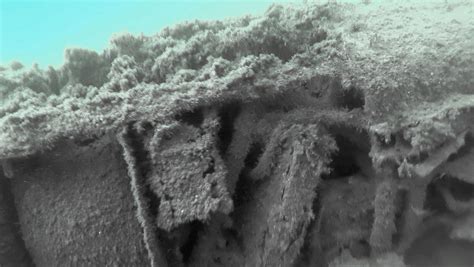 Дно черного моря сероводород 70 фото