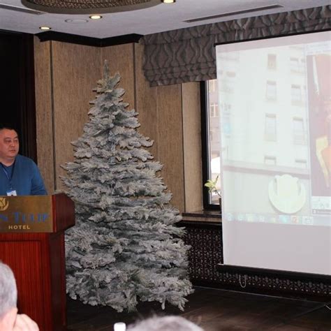 Coronal Ct Scan Showing The Components Of The Ostiomeatal Unit Ethmoid