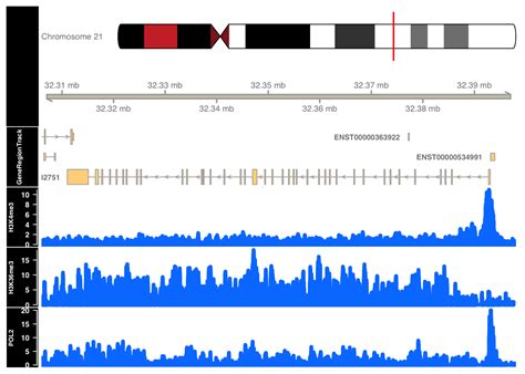 9 7 Peak Calling Computational Genomics With R