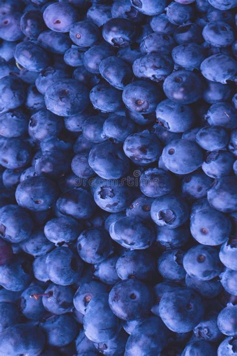 Fresh Blueberry Background Texture Blueberry Berries Close Up Stock