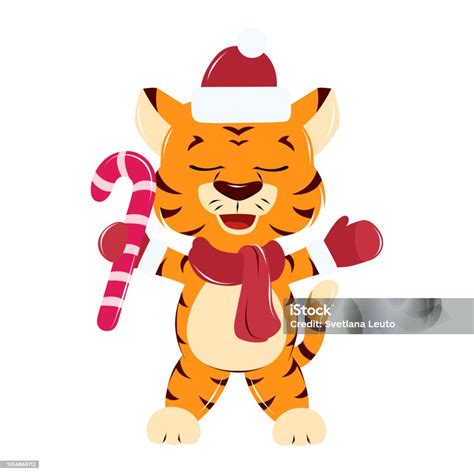 산타클로스 새해 모자 장갑 스카프를 두른 새끼 호랑이가 롤리팝을 들고 손으로 그림을 그립니다 발톱 달린 발에 대한 스톡 벡터 아트 및 기타 이미지 Istock