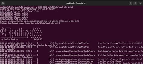 Github Arieltintel Dockerizacao Projeto Base Para Utilização Da