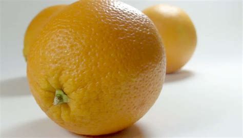 Free Citrus Oranges Stock Video Footage Vidsplay