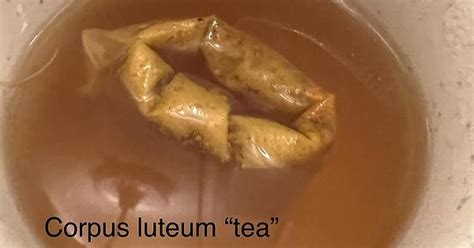 Happy Womens History Month Studying Away Obgyn My Tea Gave Me A