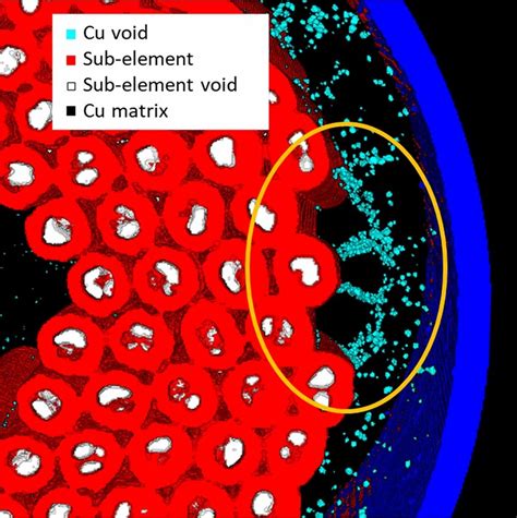 The 3d Reconstruction Of Sample S19 The Sub Elements And Their Voids